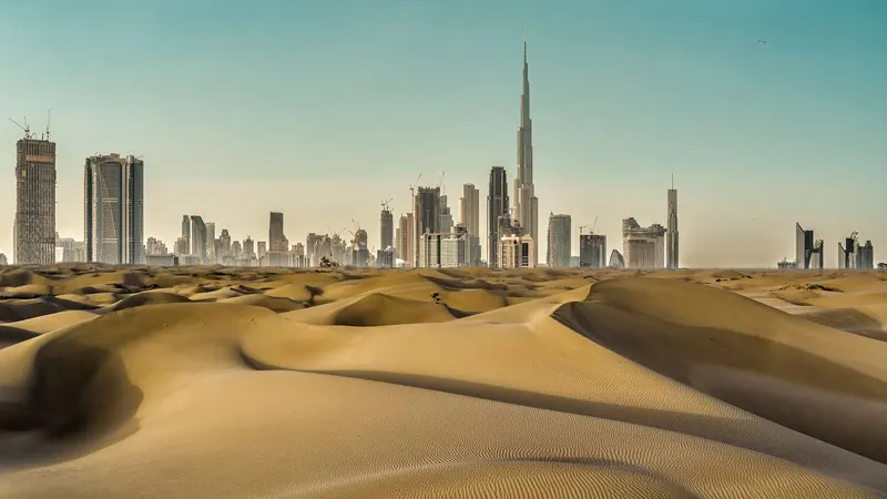 The Oasis